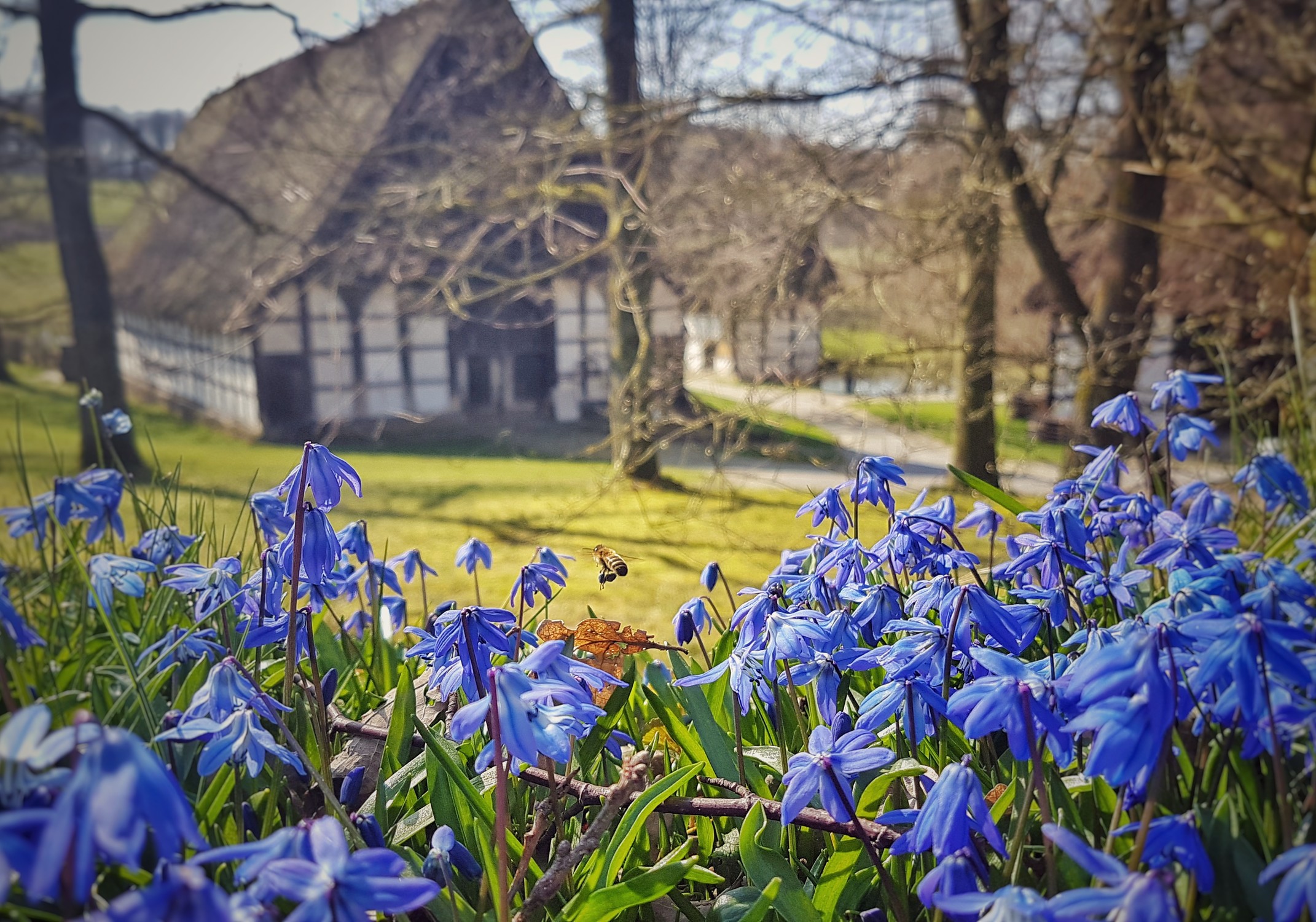 LWL | Startseite - LWL-Freilichtmuseum Detmold